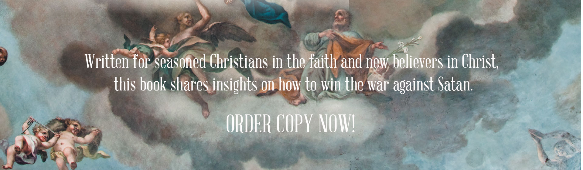 ABOUT THE AUTHOR - …And the Devil is Defeated!